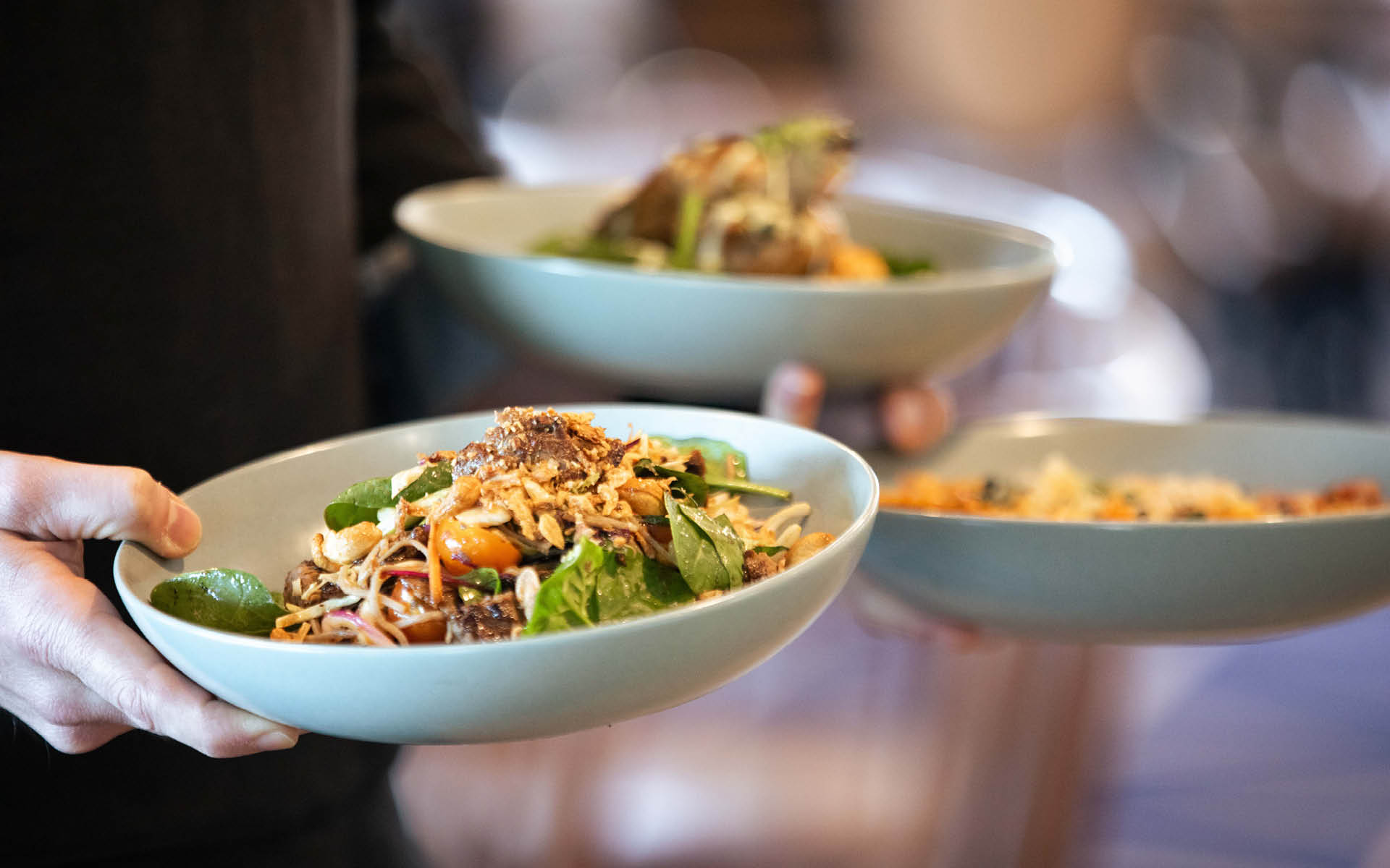 Pippi's Main Gallery